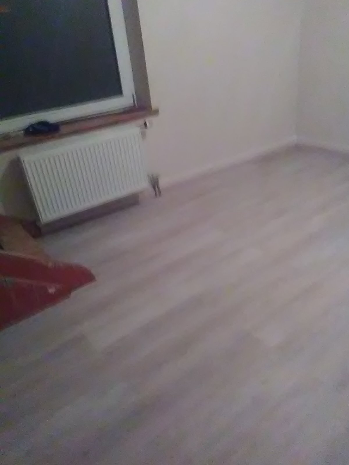 Pose d’un parquet – DB MULTITRAVAUX